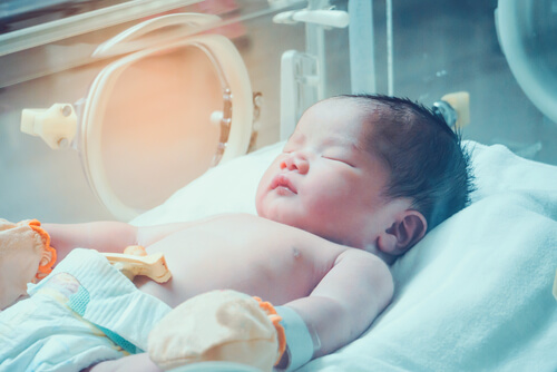 Teratogens | Exposure to Toxins | Birth Defect LawsuitsThe CP Lawyer